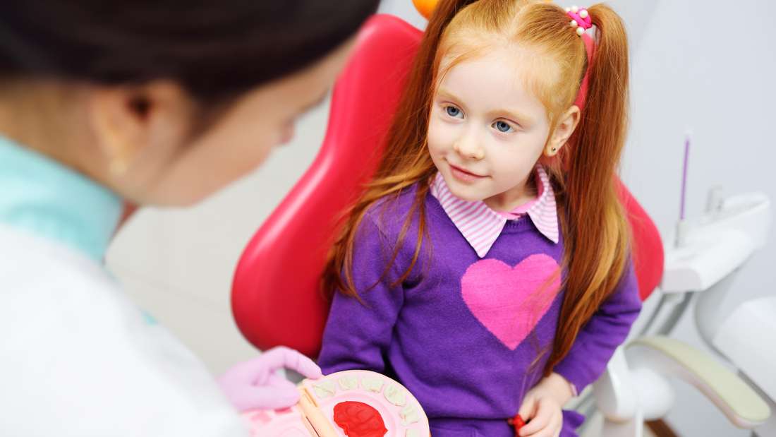Child With Dentist, Learning About Dental Care | Regular Check-Ups and ...